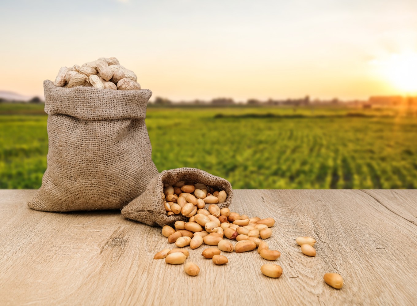 Products - Golden Peanut