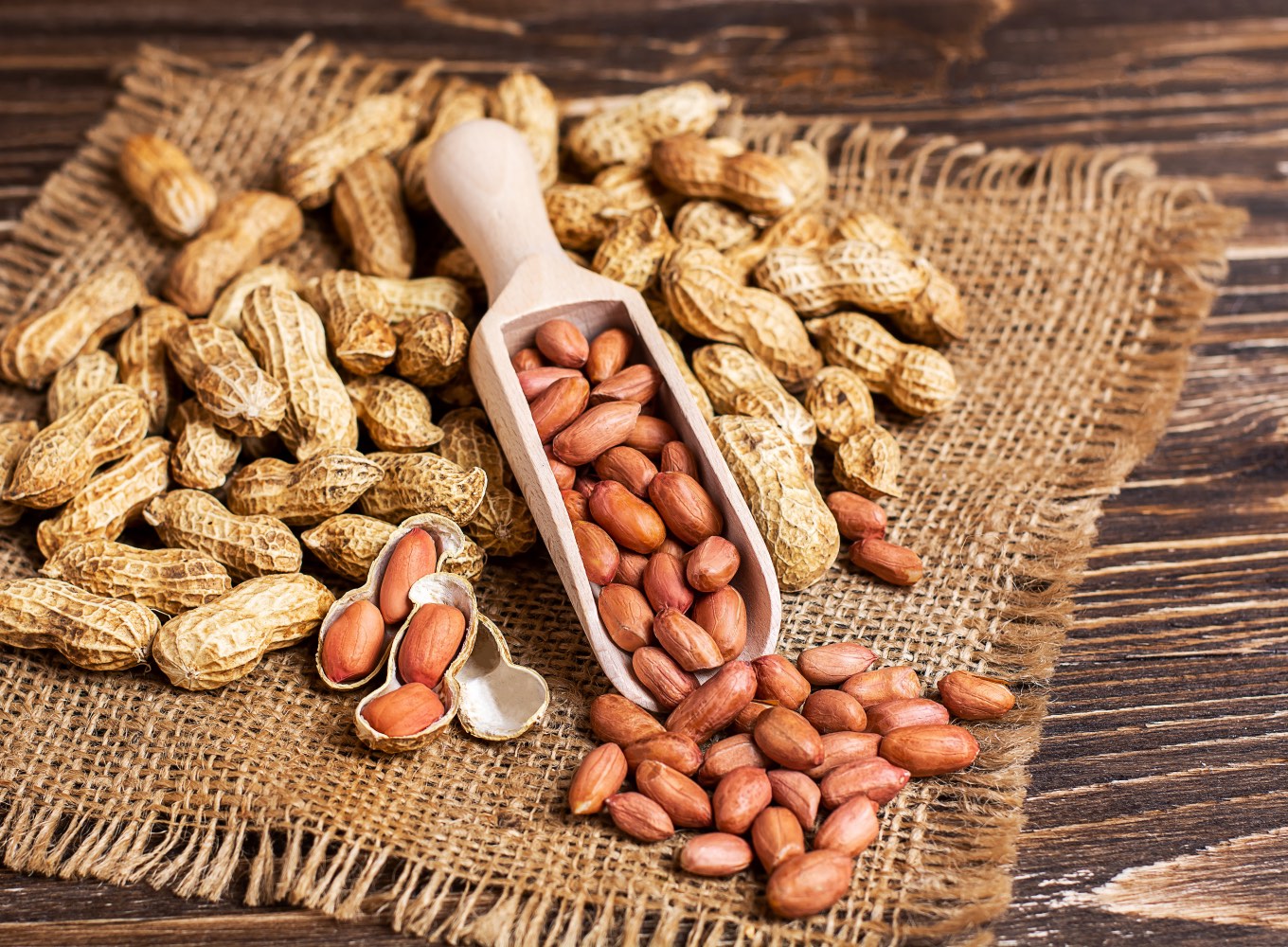 About Us - Golden Peanut