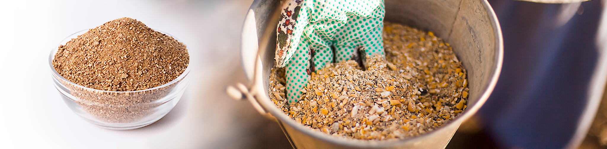 Peanut Meal - Golden Peanut