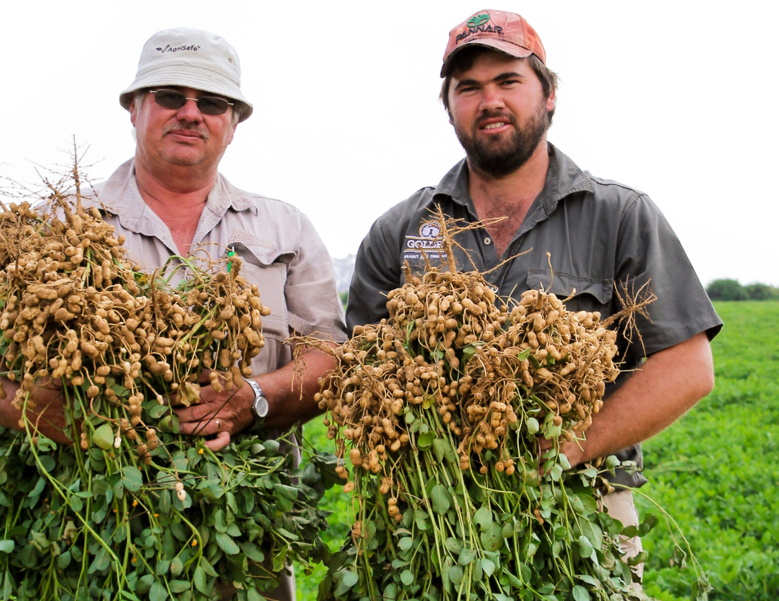 U.S. - Golden Peanut
