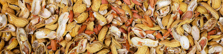 Whole Hulls - Golden Peanut