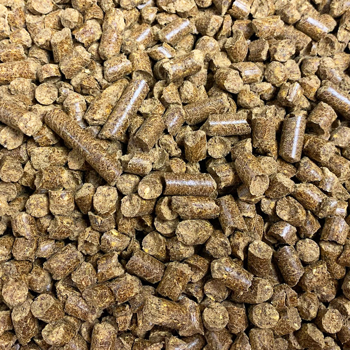 Hull & Fiber - Golden Peanut